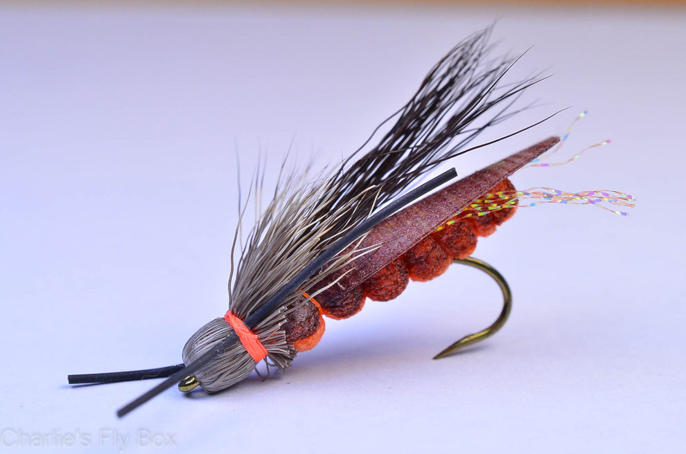 Rogue Foam Stone, Salmonfly – charliesflybox