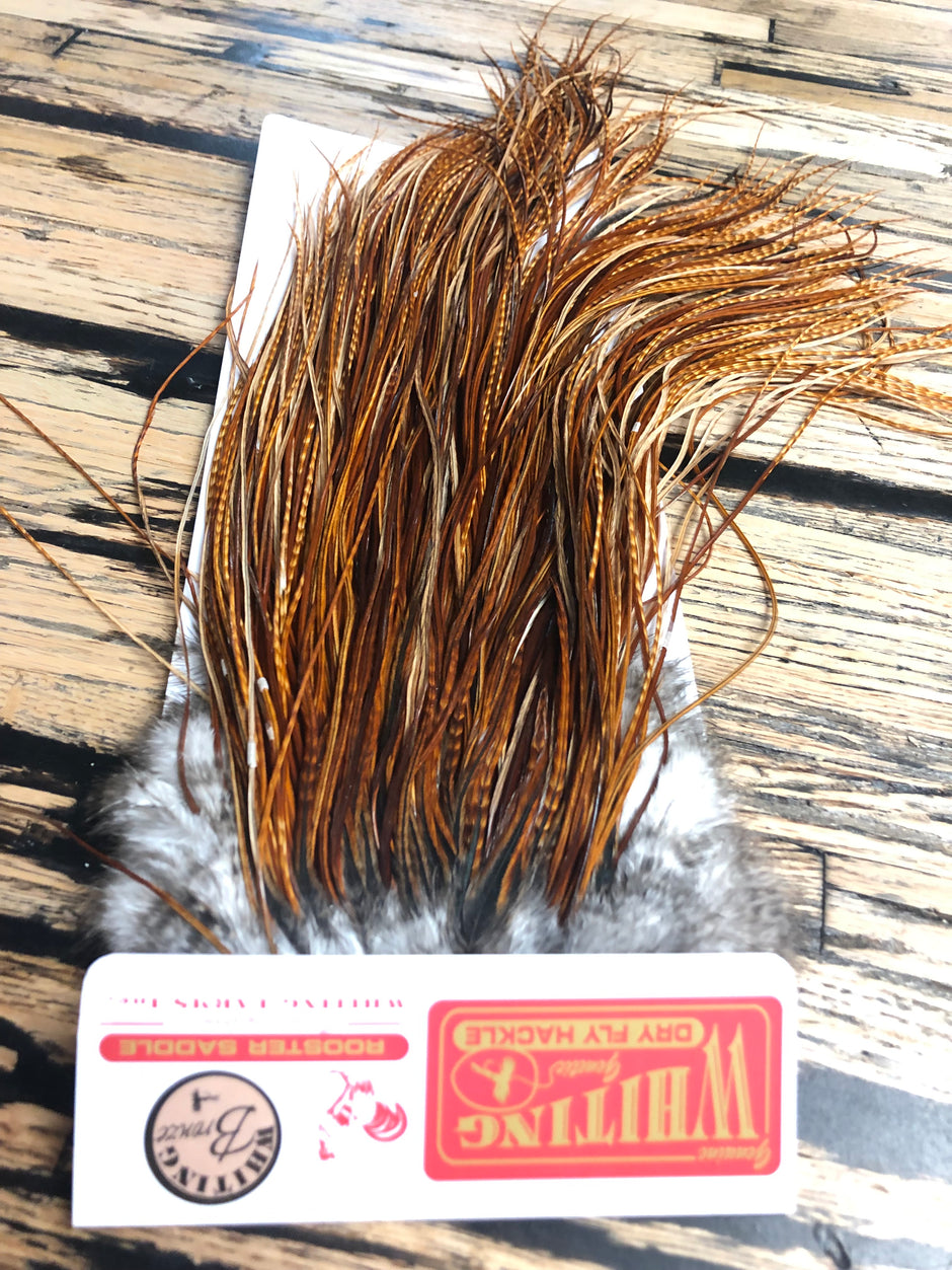 Whiting Rooster Saddles – charliesflybox